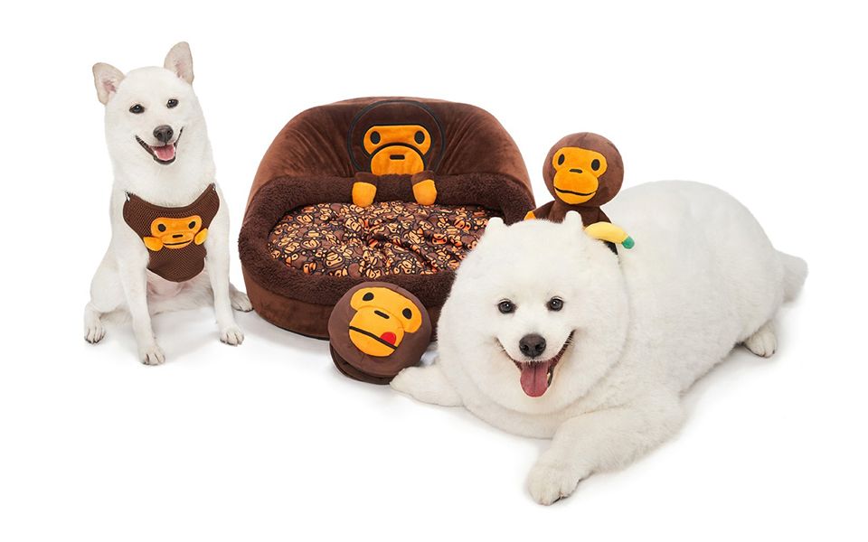 베이프 베이비 마일로의 19 가을, 겨울 펫 컬렉션