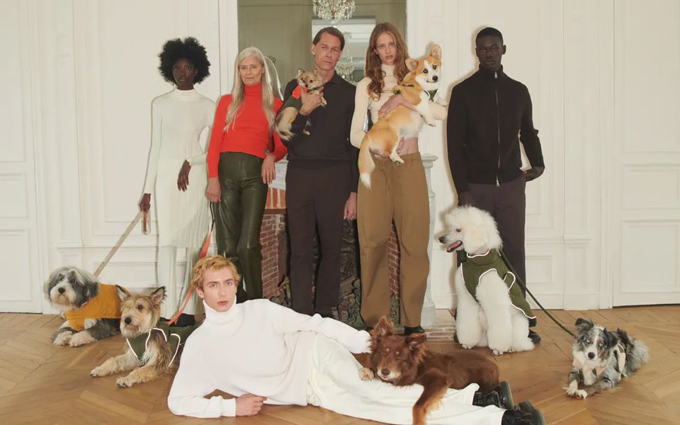 자라, 새로운 펫 컬렉션 공개